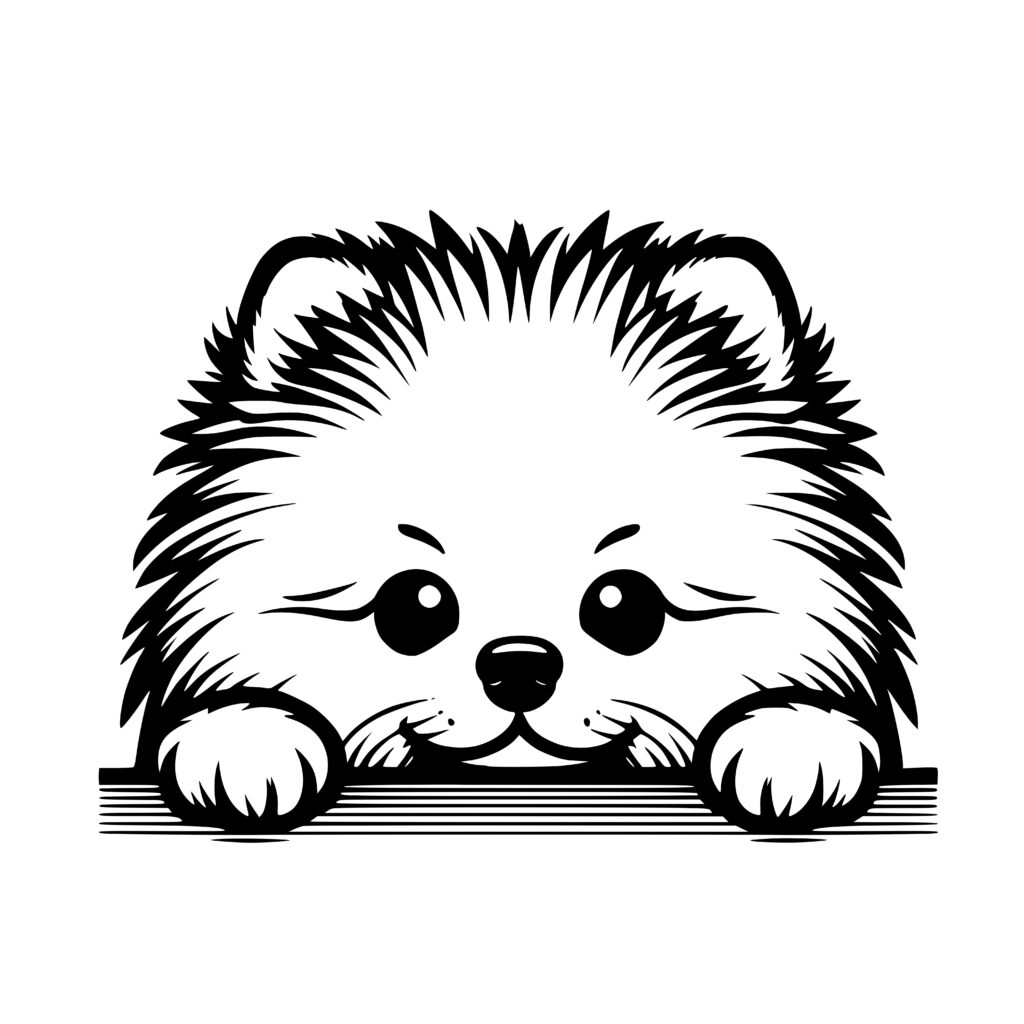 Peekaboo Pomeranian SVG PNG DXF for Cricut Silhouette Laser