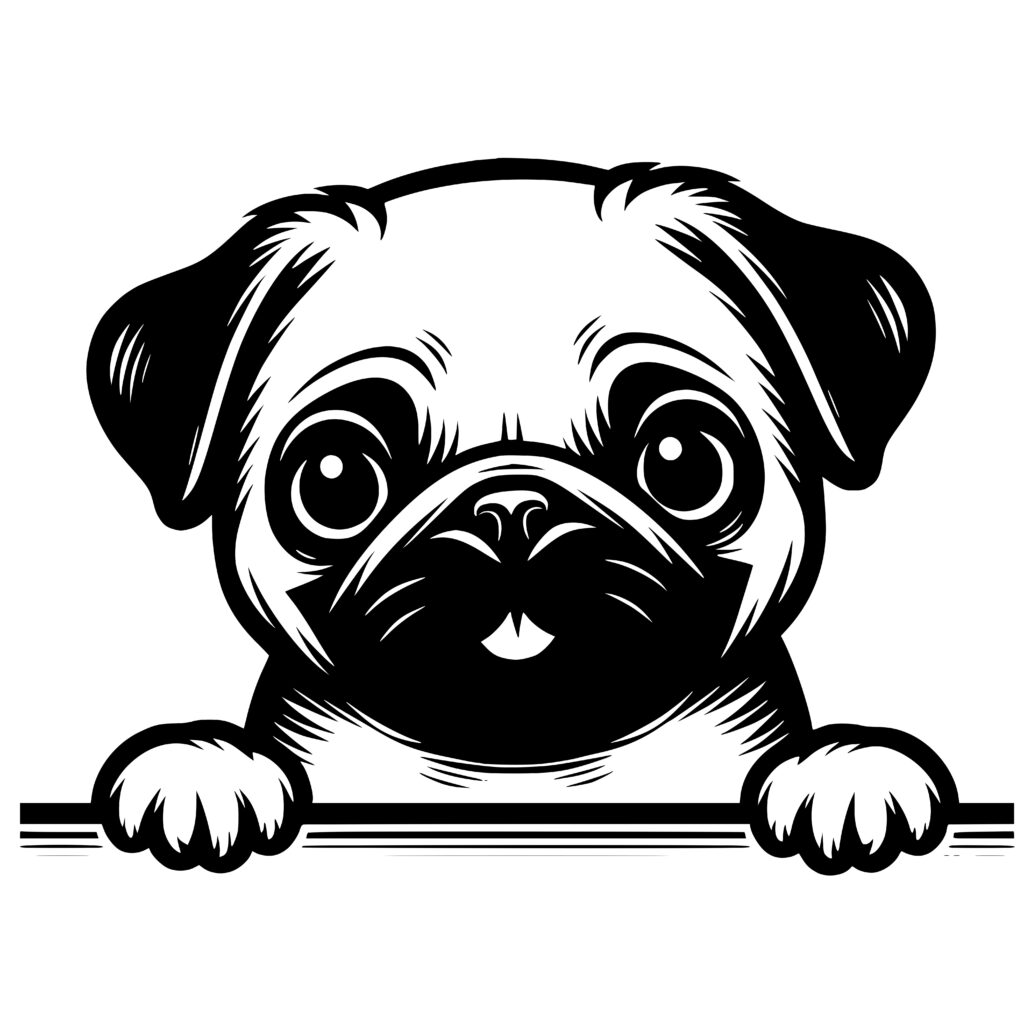Pug Peeking – Creative Meadow