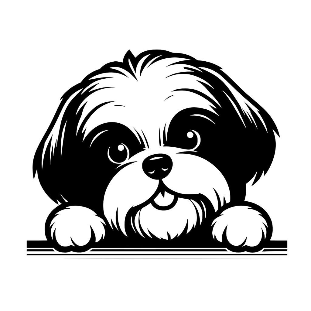 Dapper Shih Tzu Peeking – Creative Meadow