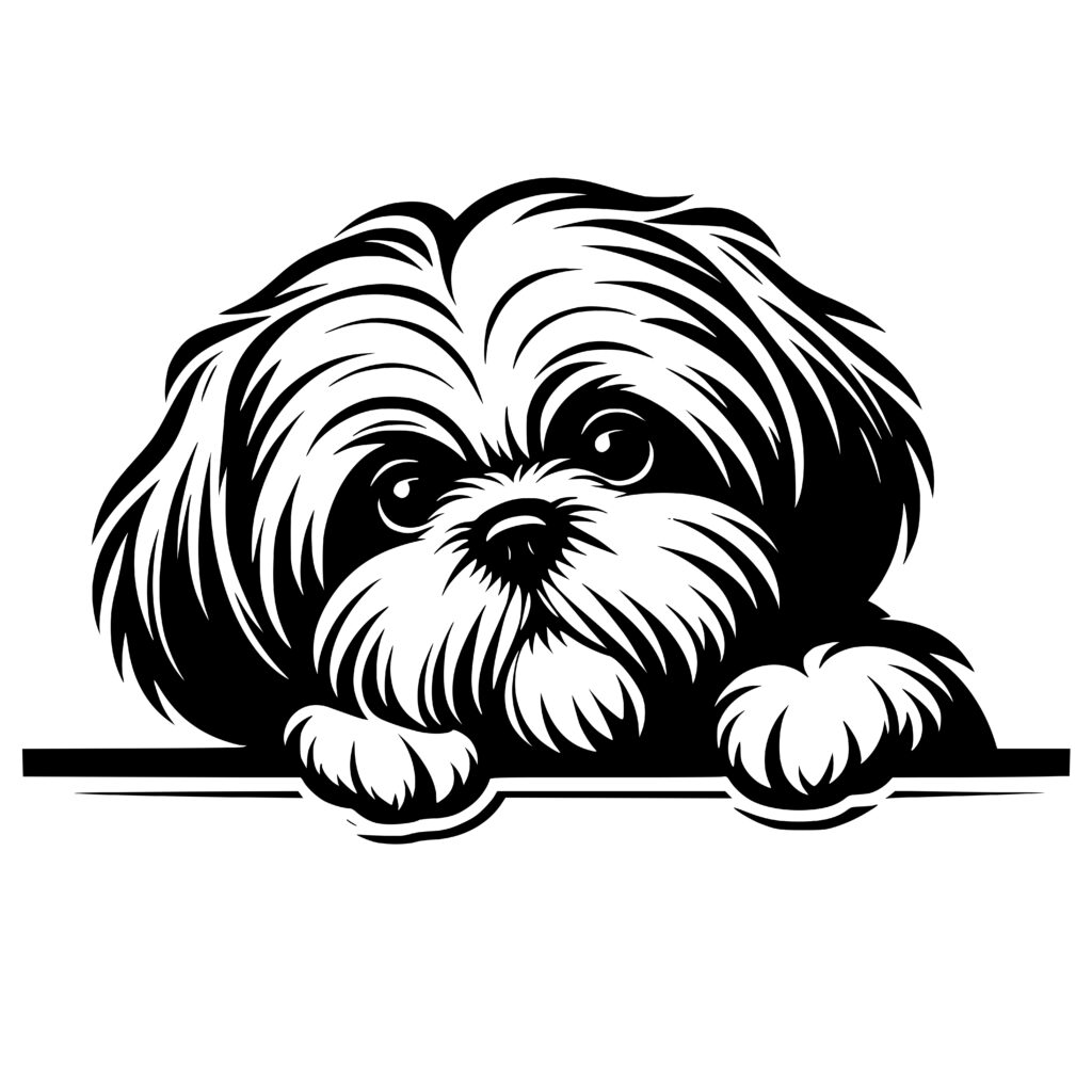 Curious Shih Tzu – Creative Meadow