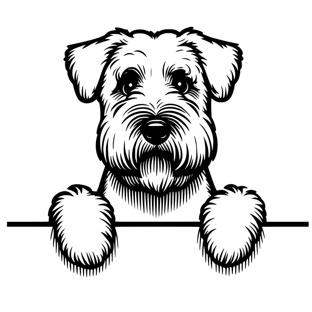 Furry Wheaten Terrier – Creative Meadow