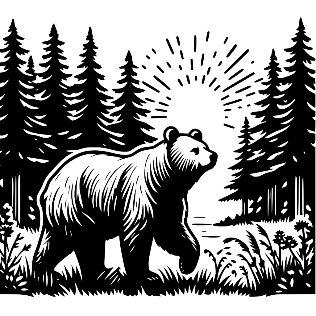 Sunlit Pine Bear – Creative Meadow