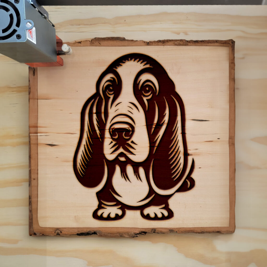 **Droopy Basset Dog SVG Design for Cricut Silhouette Laser**