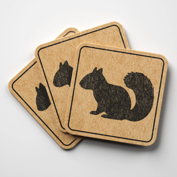 Squirrel Profile – Creative Meadow