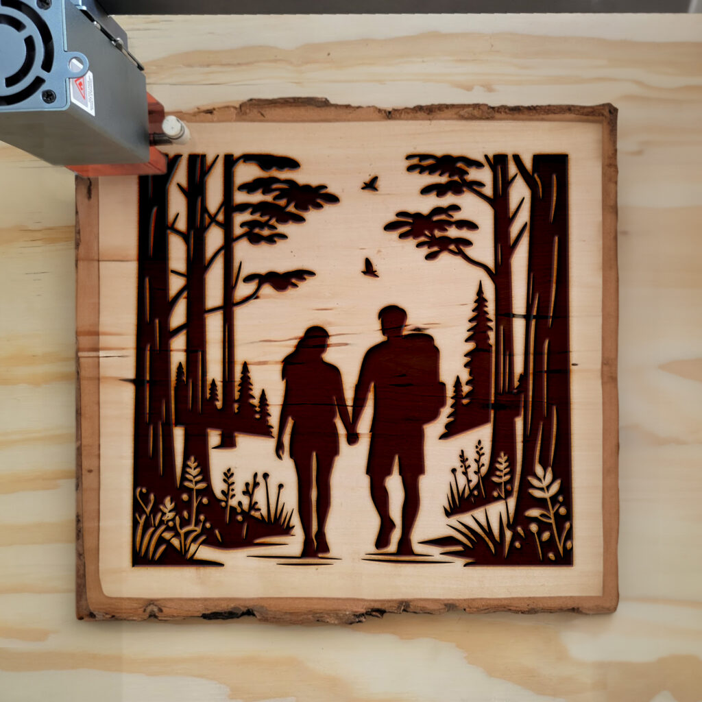 Forest Stroll – Creative Meadow