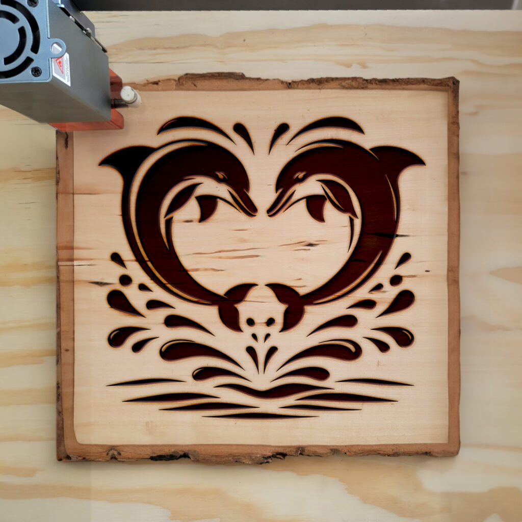 Dolphin Heart – Creative Meadow