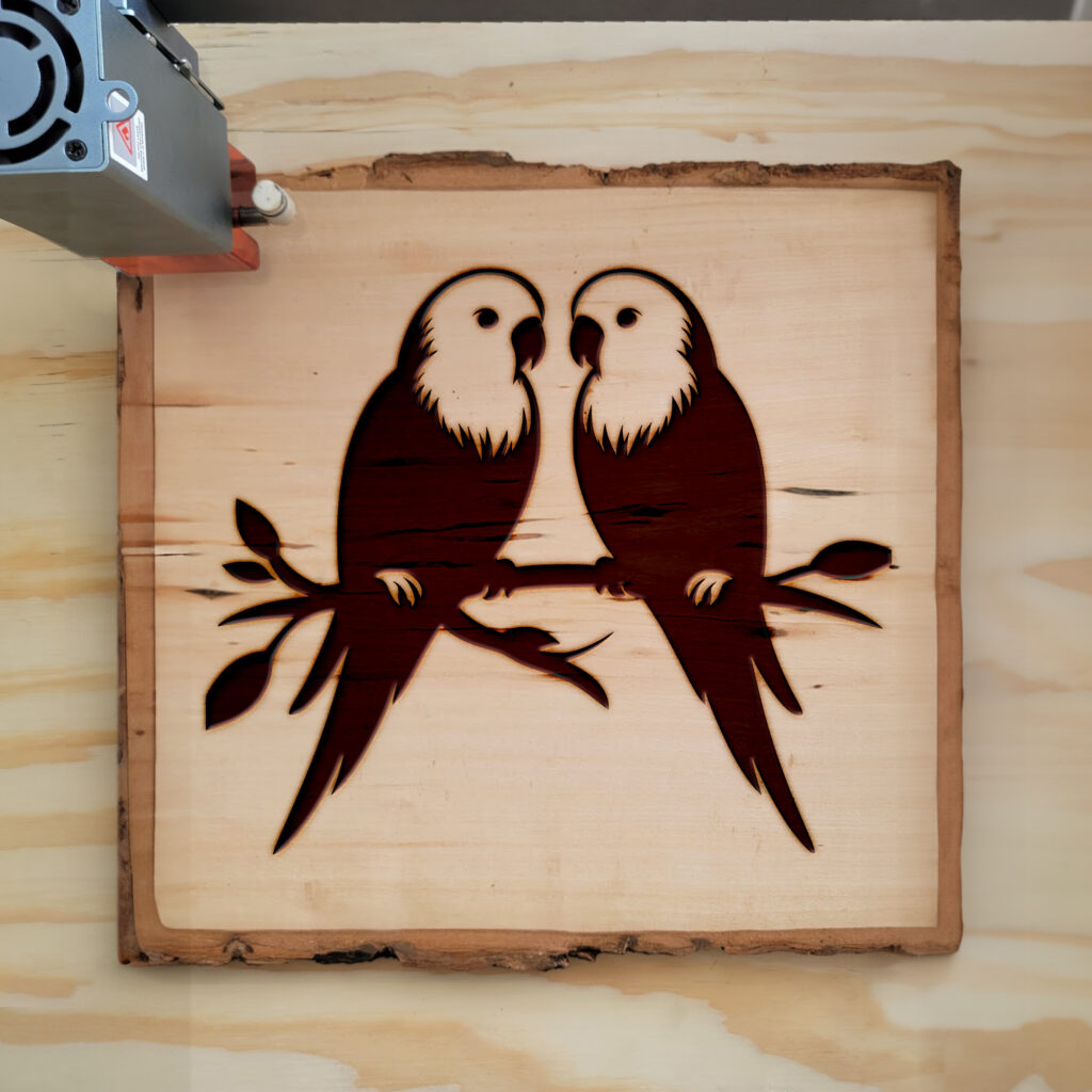 Parakeet Pals – Creative Meadow