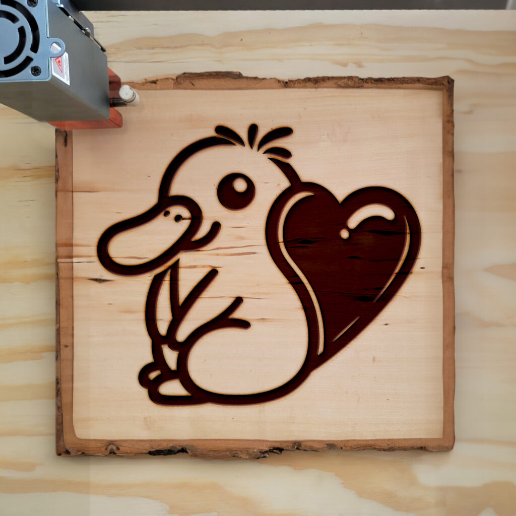 Heart Platypus – Creative Meadow