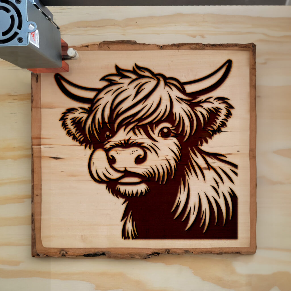 Highland Cow Lick – Creative Meadow