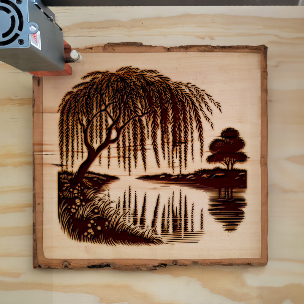 Weeping Willow Reflection – Creative Meadow