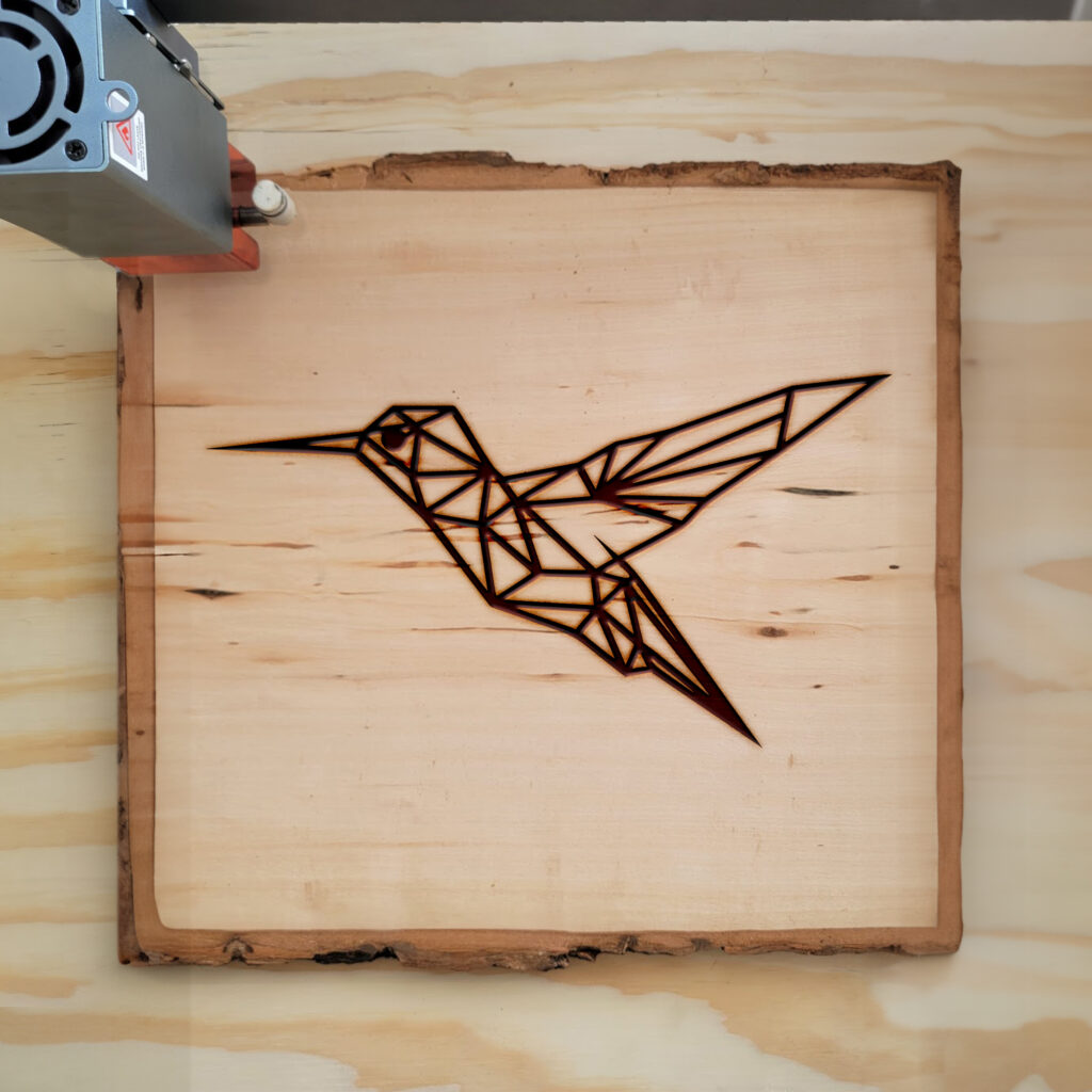 Geometric Hummingbird – Creative Meadow