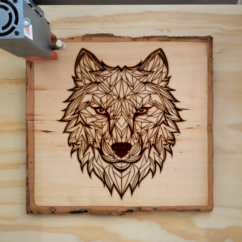 Geometric Predator – Creative Meadow