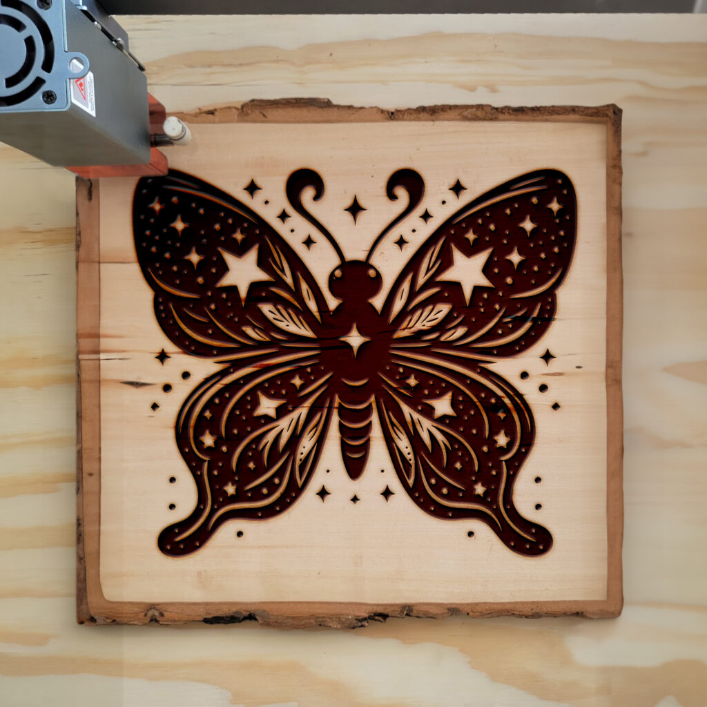 Cosmic Butterfly – Creative Meadow