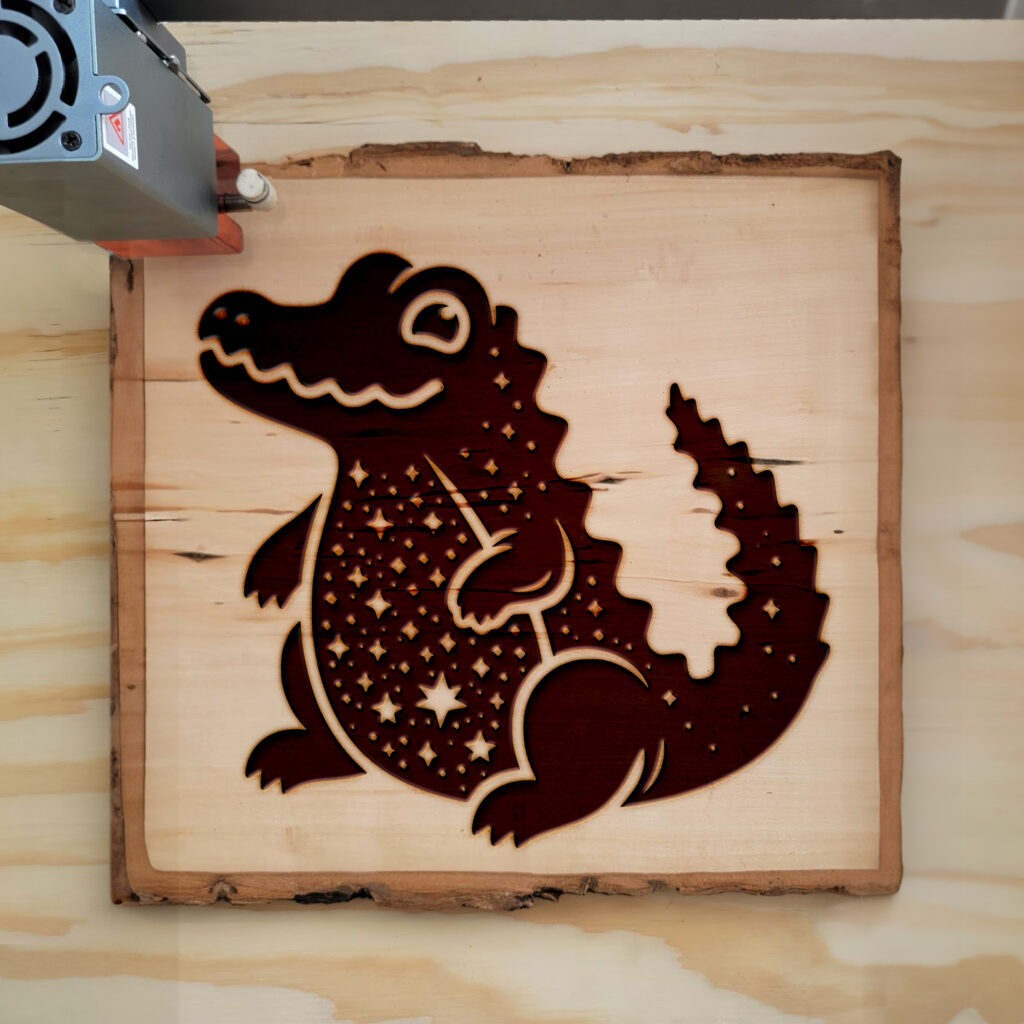 Star Gator Fun – Creative Meadow