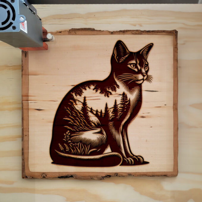 Cat Nature Landscape – Creative Meadow