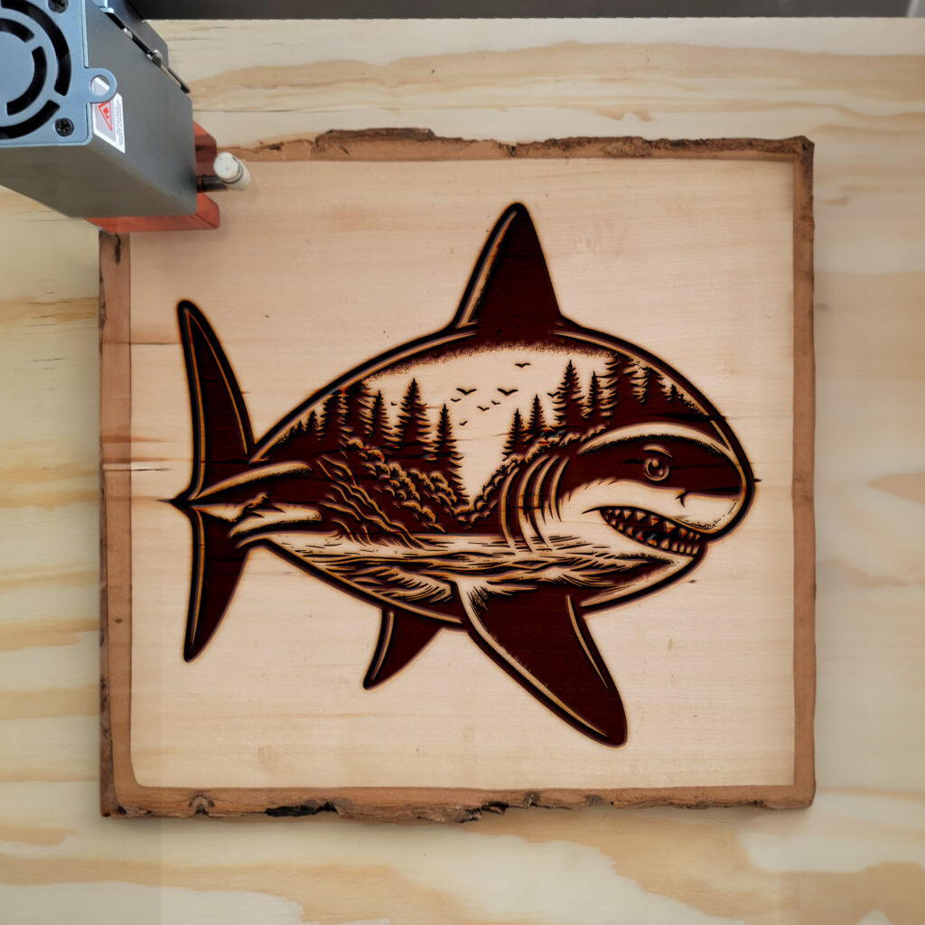 Shark Landscape – Creative Meadow