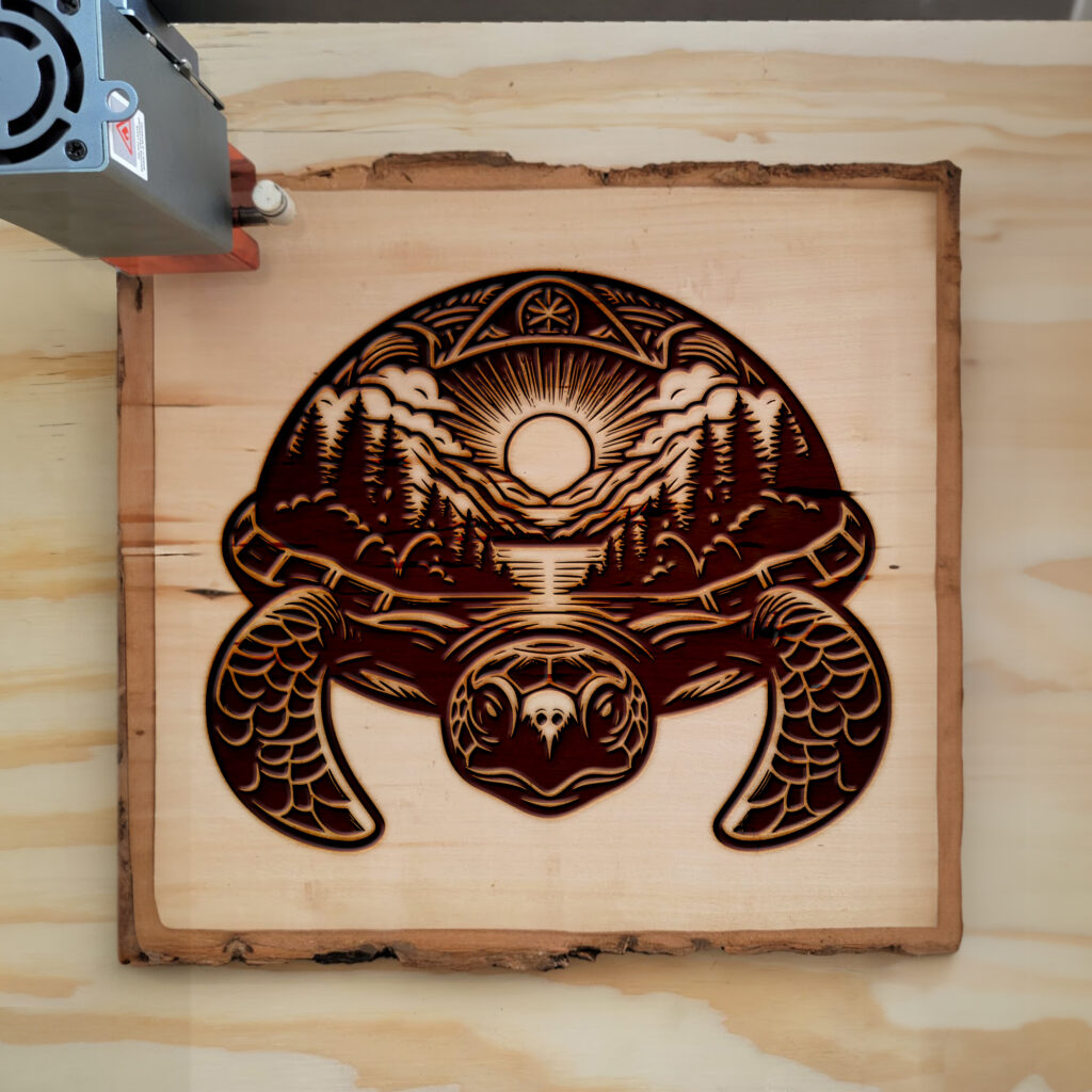Enchanted Turtle Oasis – Creative Meadow