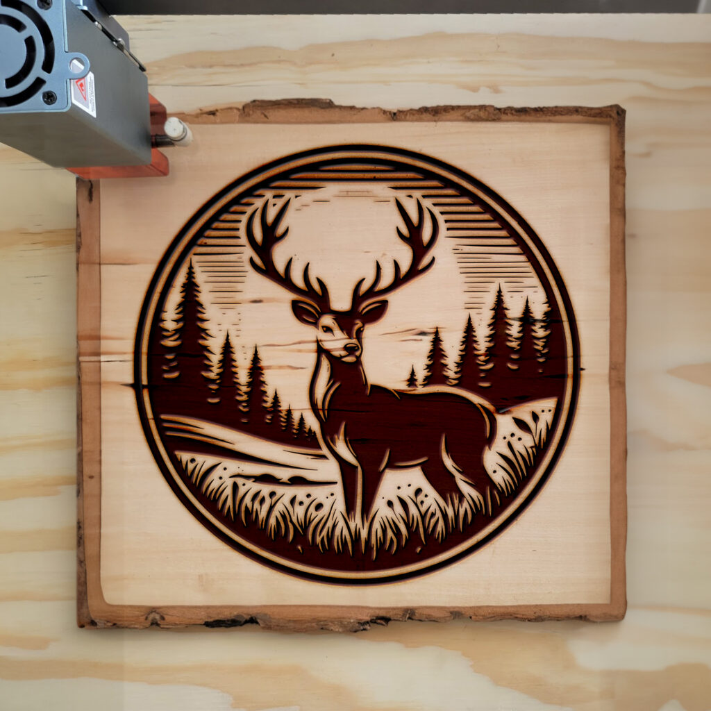 Majestic Stag – Creative Meadow