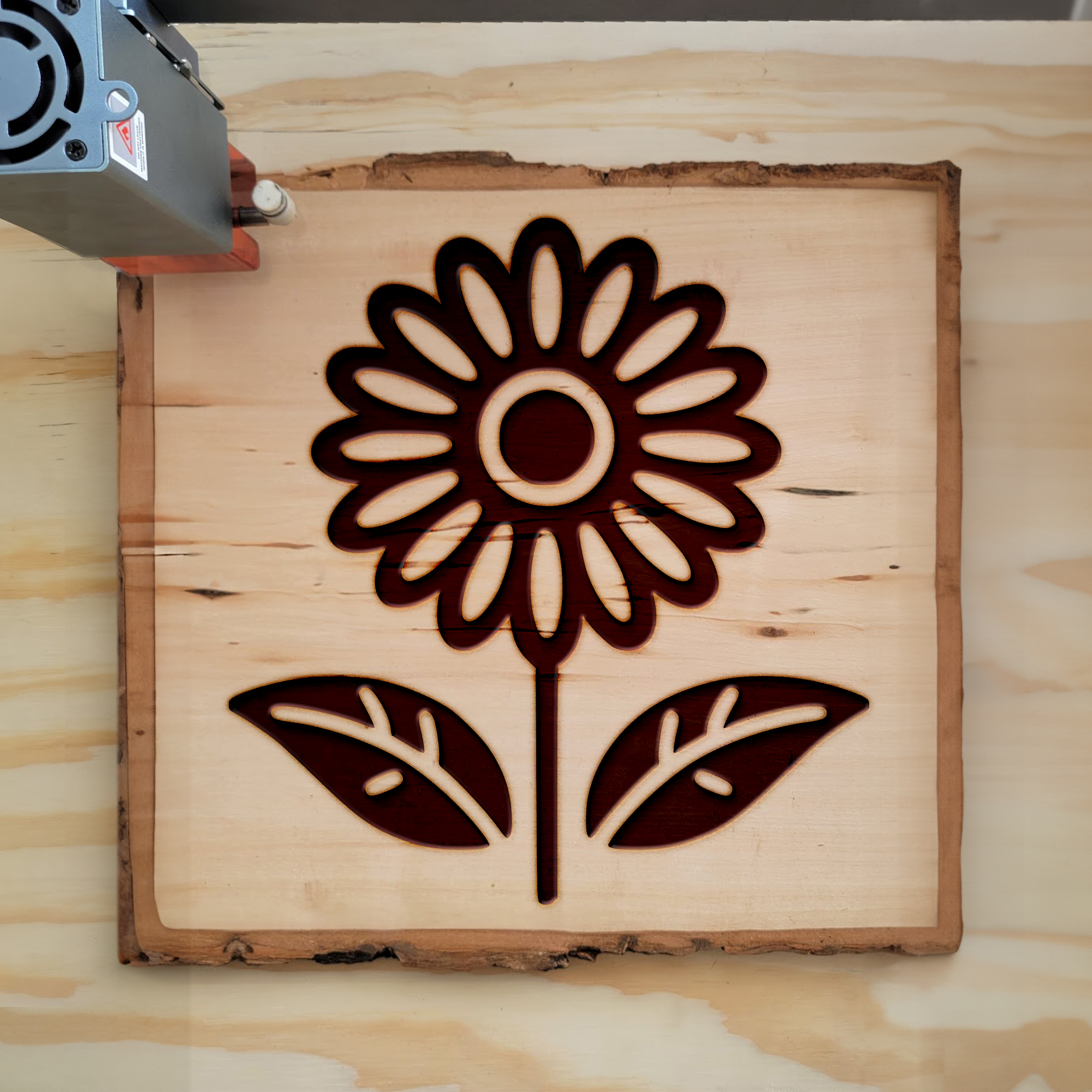 Simple Bold Daisy Design for Cricut, Silhouette, Laser Machines