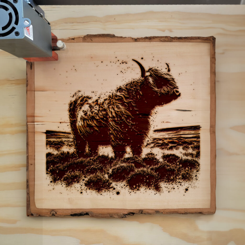 Highland Cow Meadow – Creative Meadow