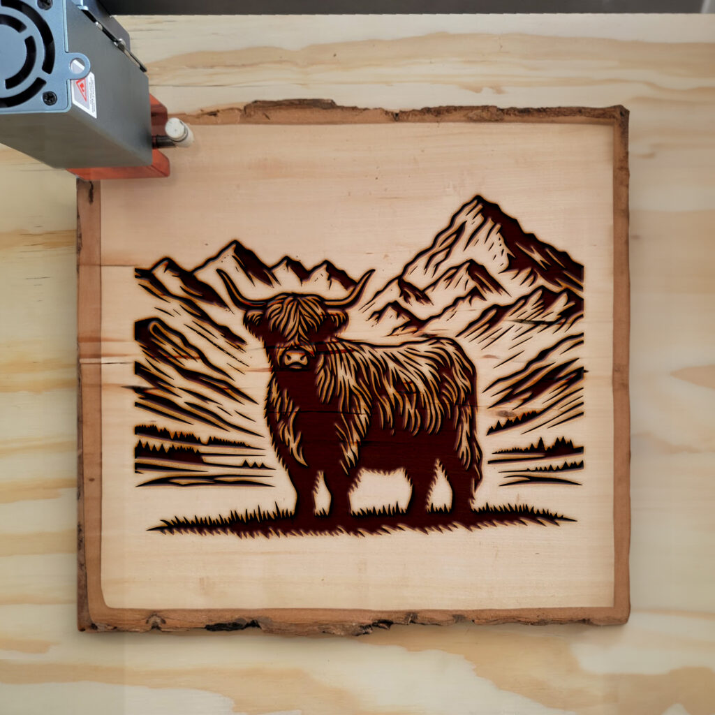 Meadow Highland Cow – Creative Meadow