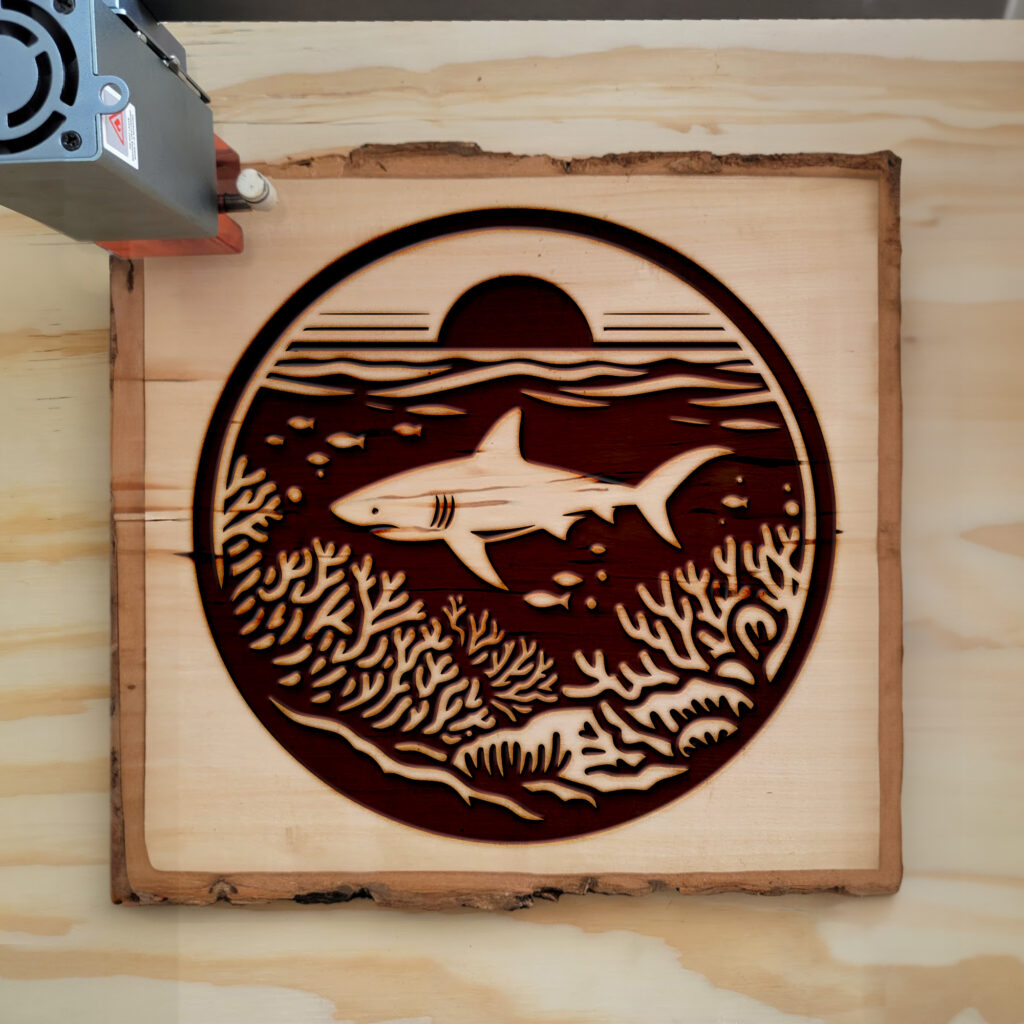 Sunset Shark Waters – Creative Meadow