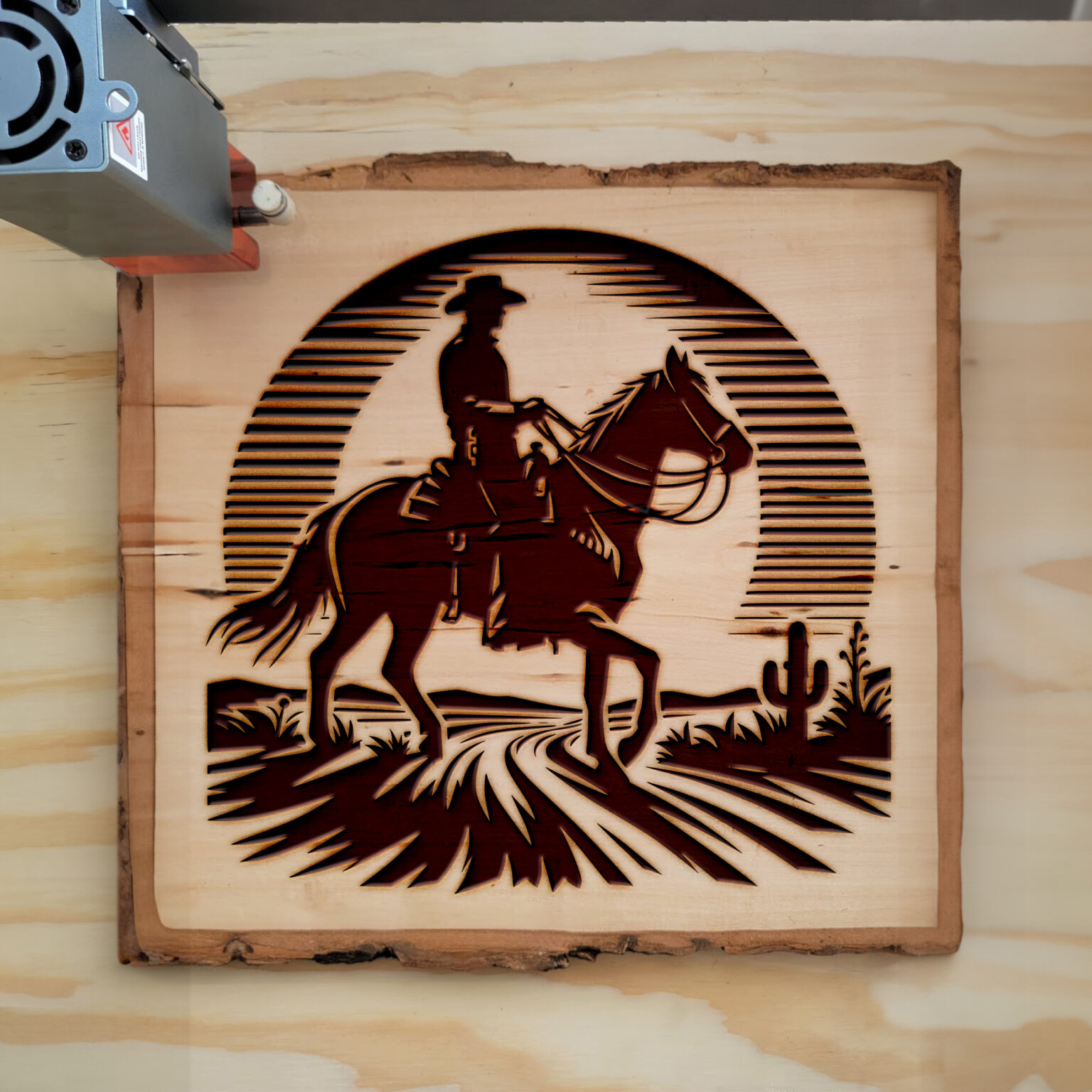 Cactus Cowboy – Creative Meadow