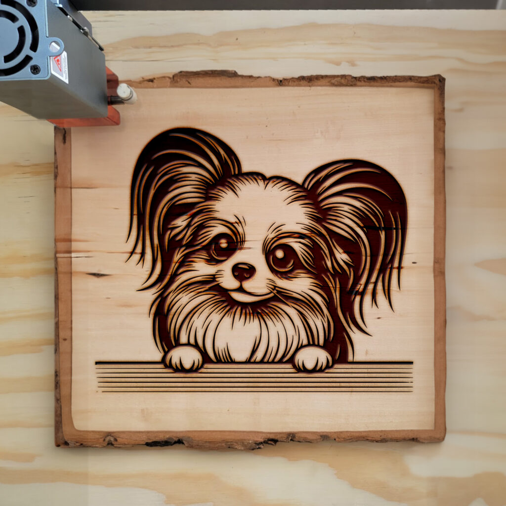 Floppy-eared Papillon – Creative Meadow