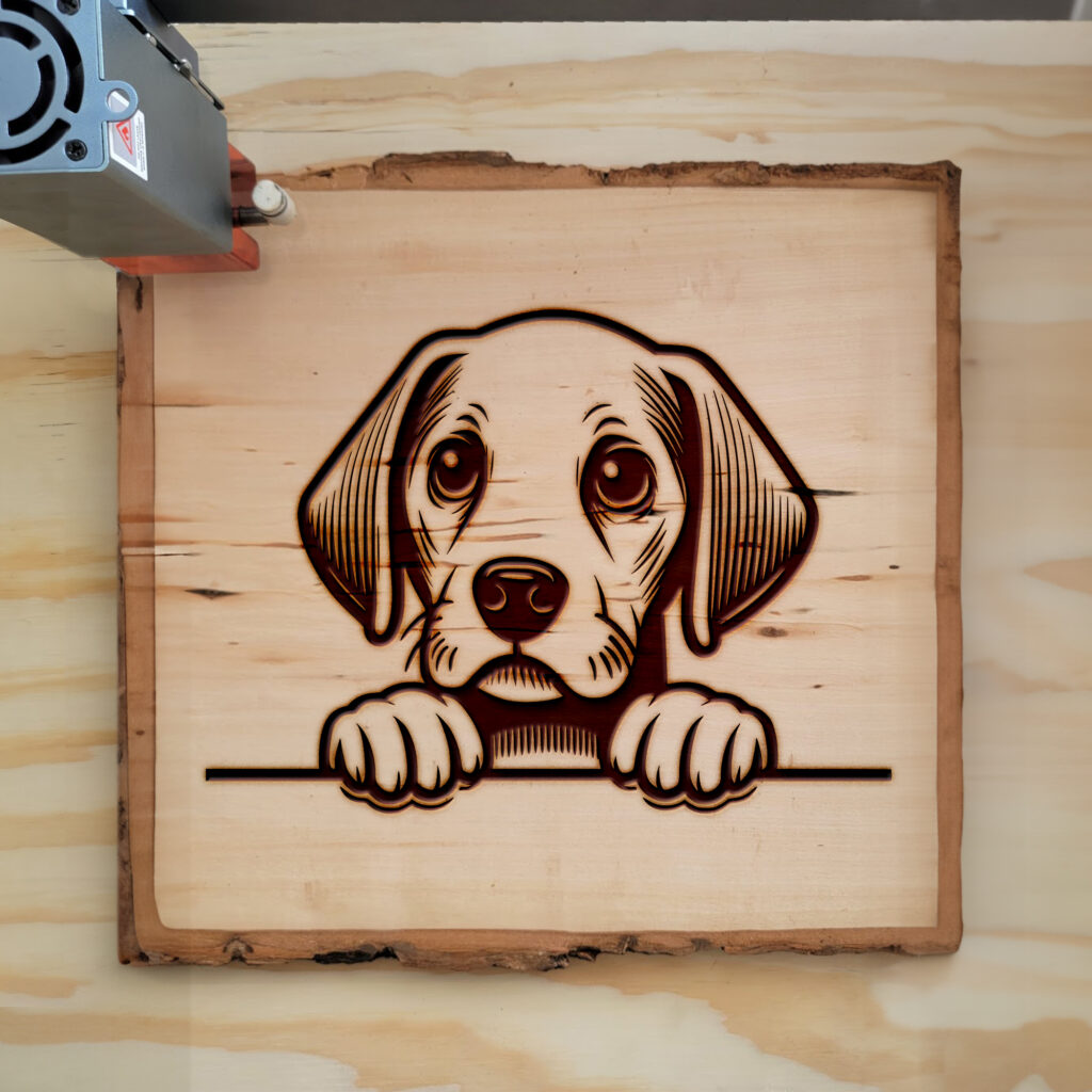 Cute Pointer Gaze – Creative Meadow