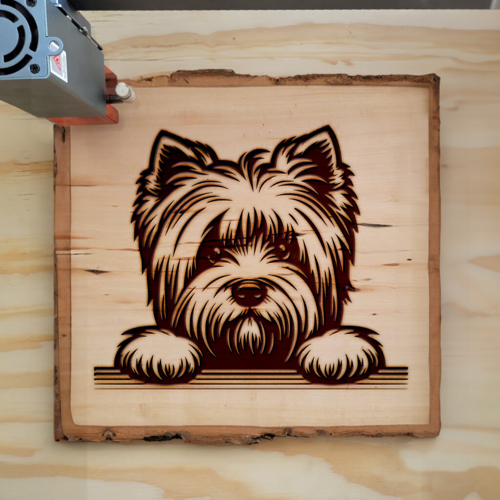 Peeking Yorkie Terrier – Creative Meadow