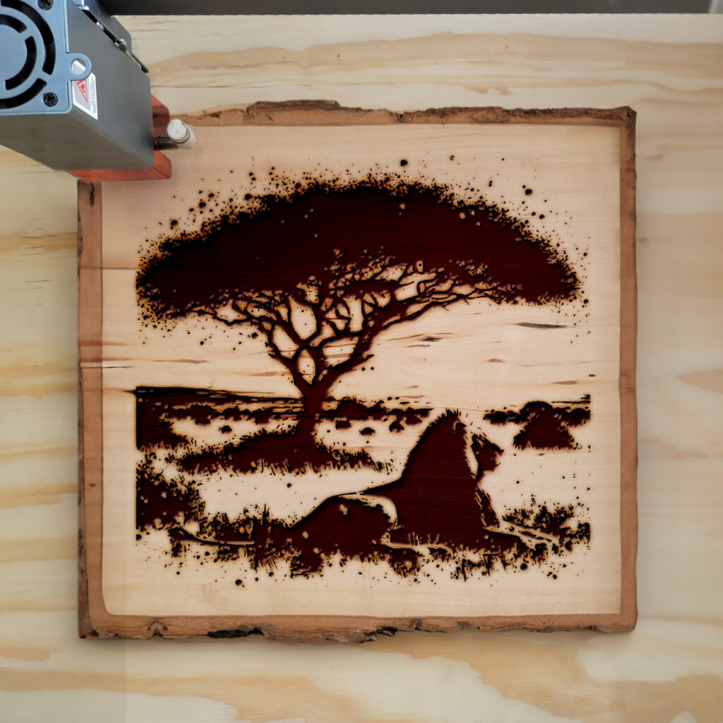 Outback Shade Lion SVG PNG DXF - For Cricut & Laser Machines