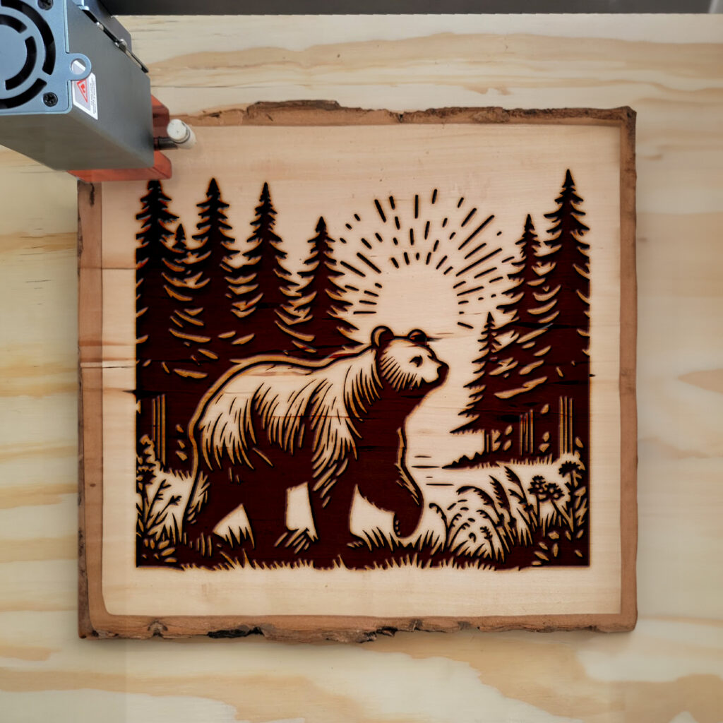 Sunlit Pine Bear – Creative Meadow