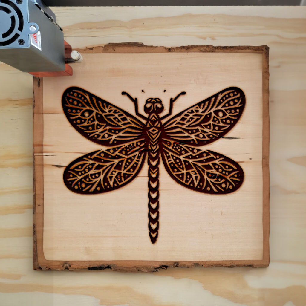 Lacewing Dragonfly Elegance – Creative Meadow