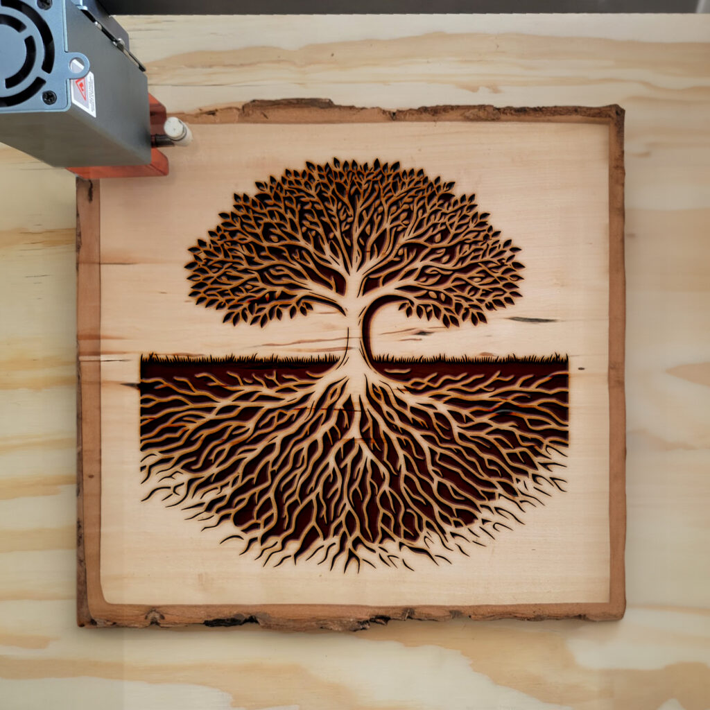 Branches and Burrows – Creative Meadow