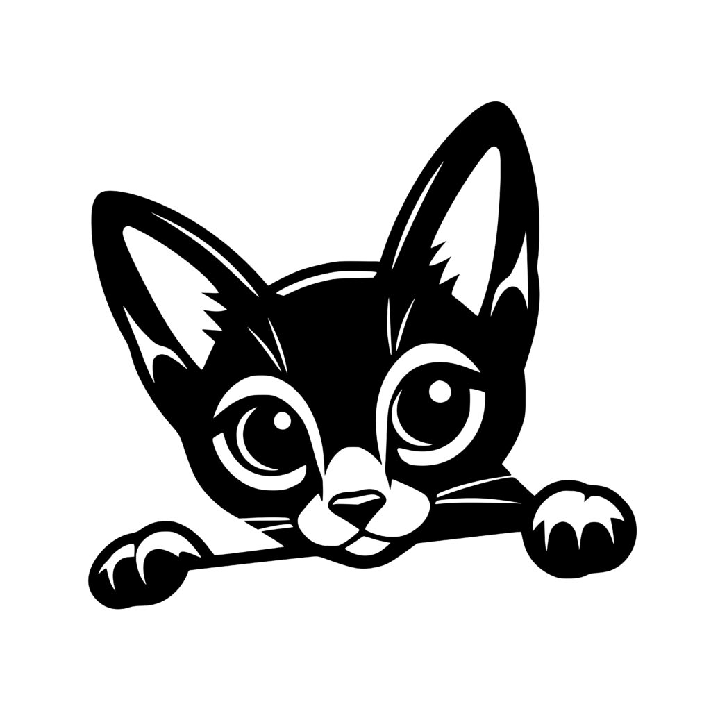 Peekaboo Kitty Paws – Creative Meadow