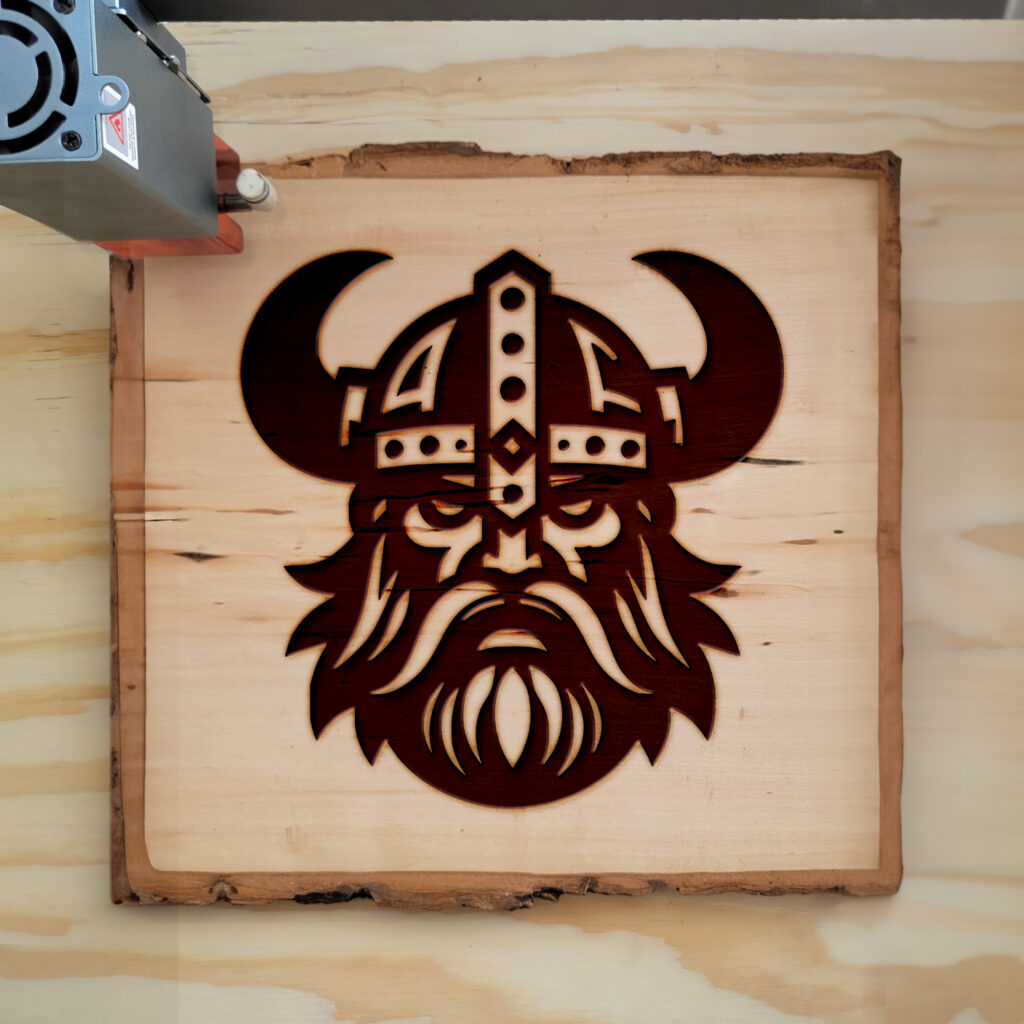 Majestic Viking – Creative Meadow