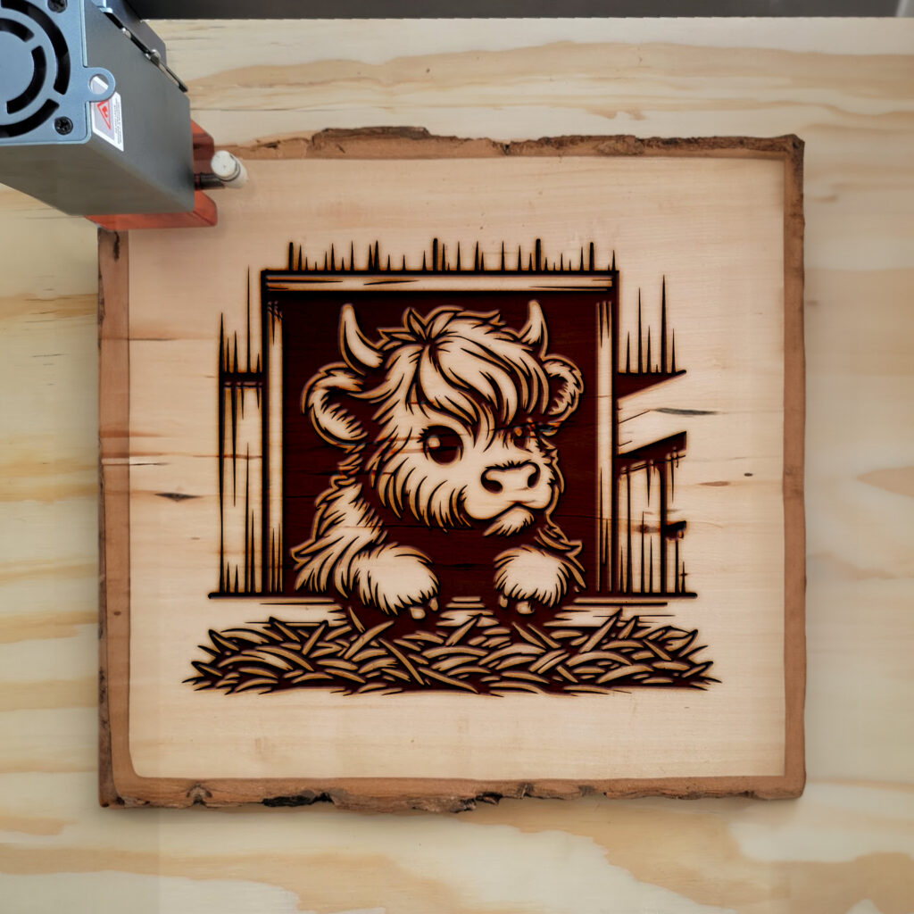 Escaping Highland Cow Adventure – Creative Meadow