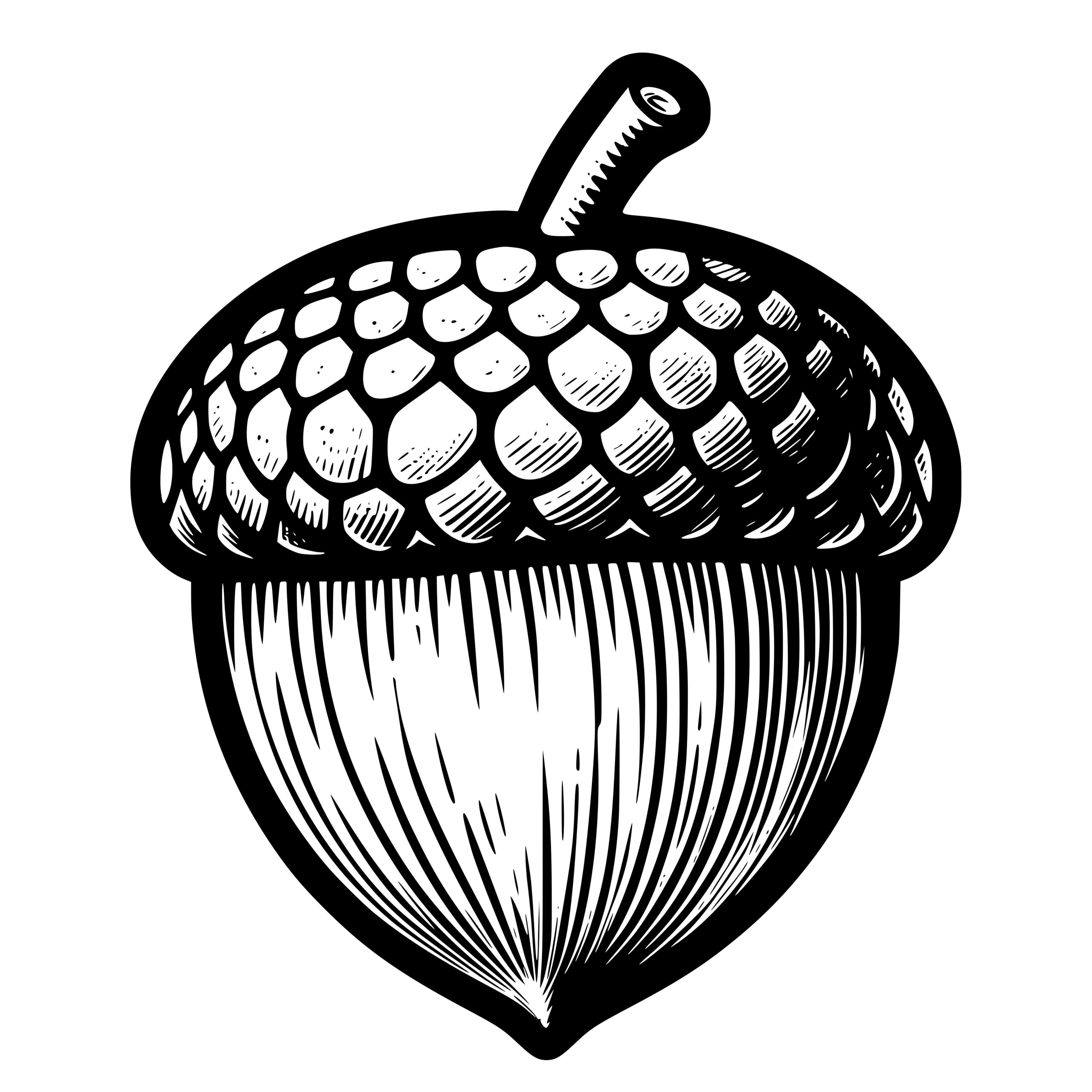 Curved Acorn Charm – Creative Meadow