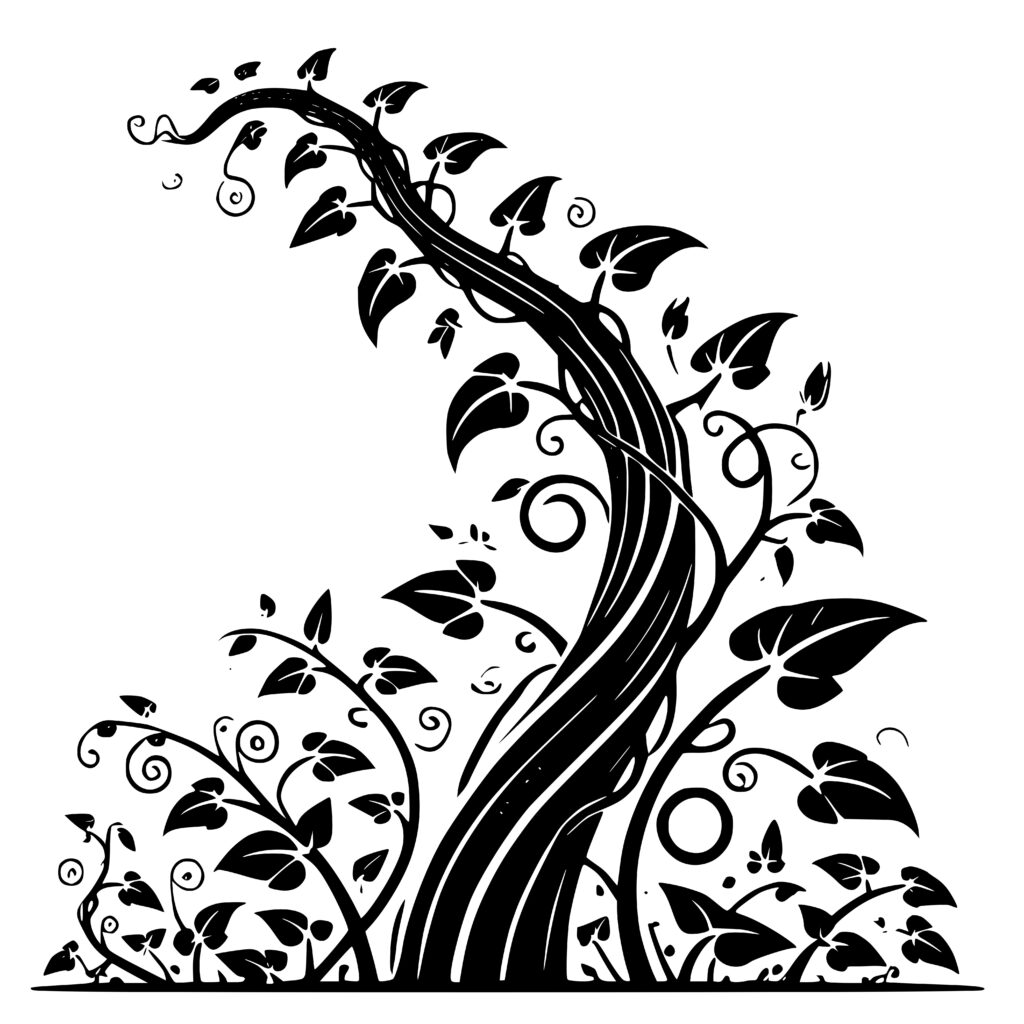 Curly Vine Journey – Creative Meadow