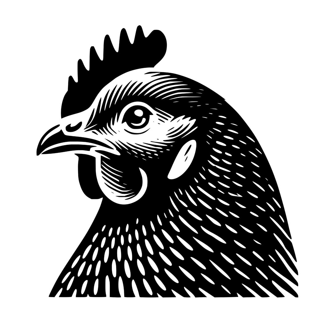 Curious Chicken Close-up – Creative Meadow