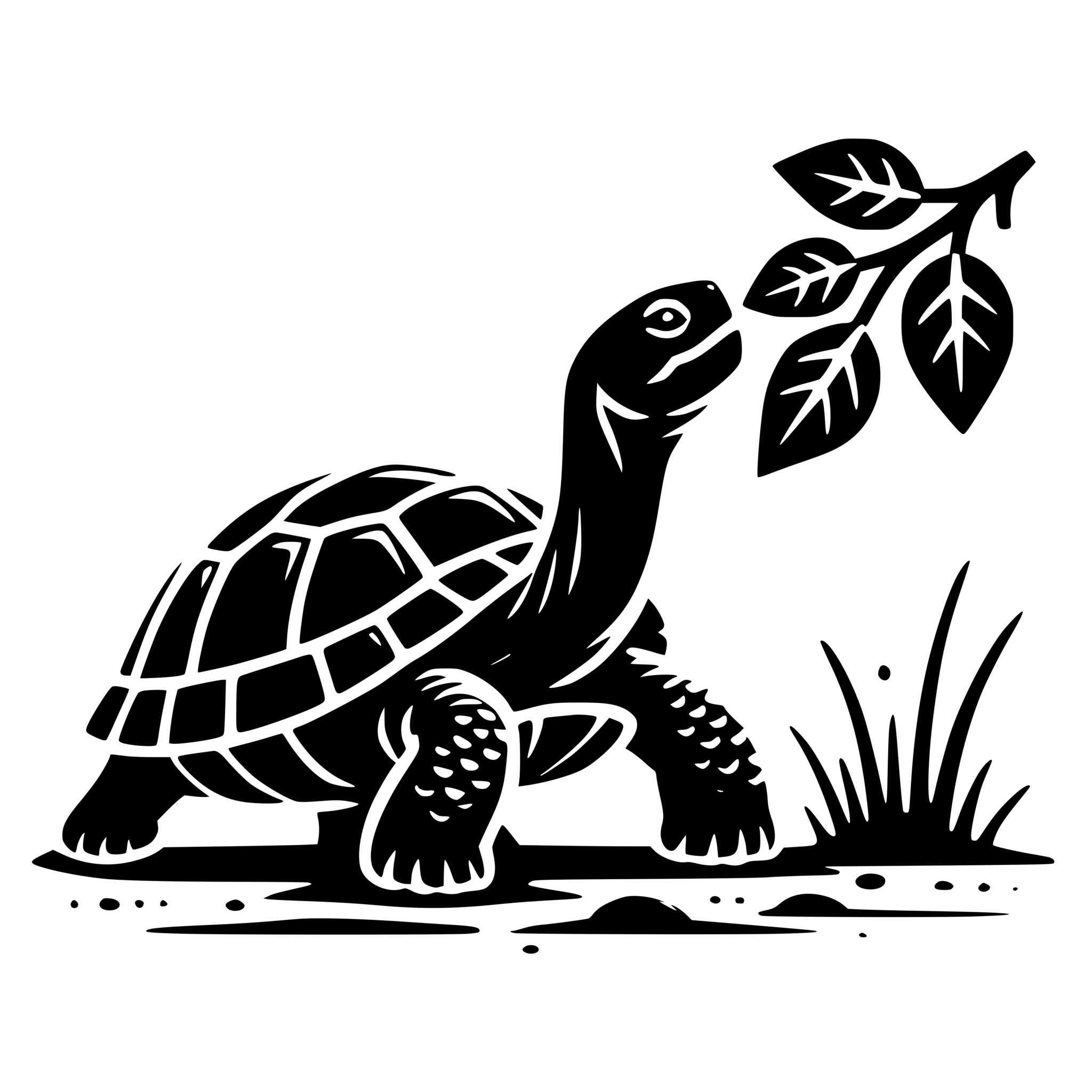 Tortoise Leaf – Creative Meadow