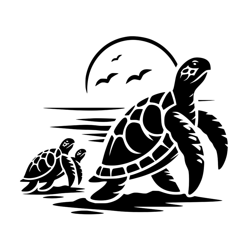 Turtles’ Seaside Adventure – Creative Meadow