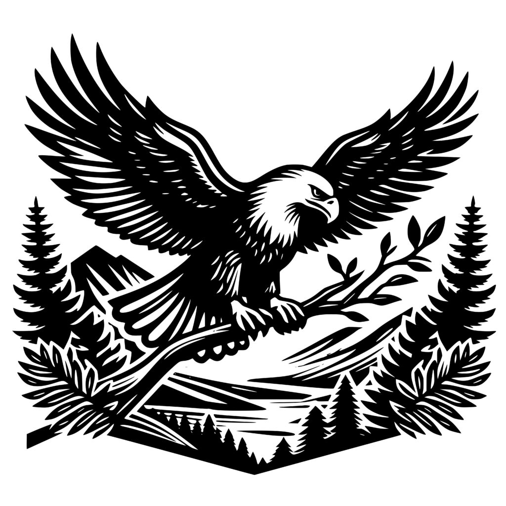 Eagles Mountain Ascent – Creative Meadow