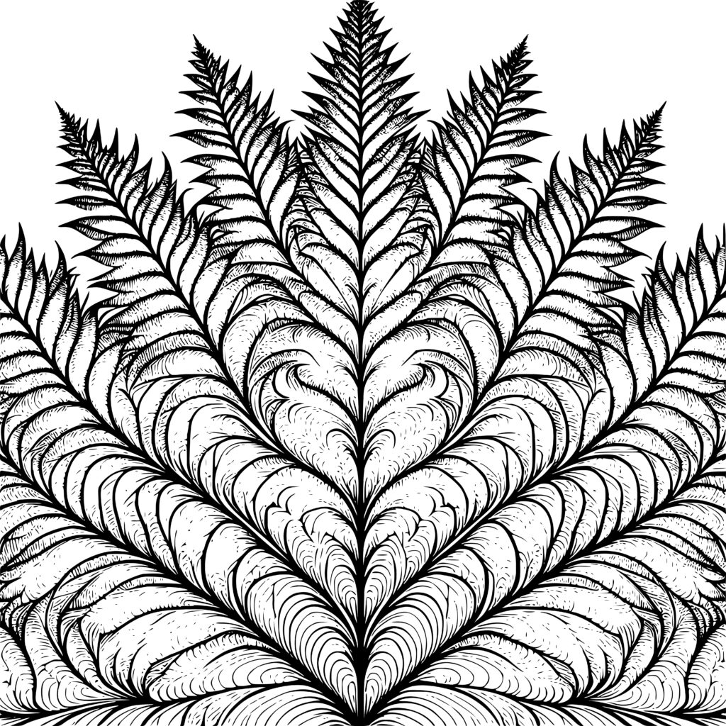 Serrated Fern Dance – Creative Meadow
