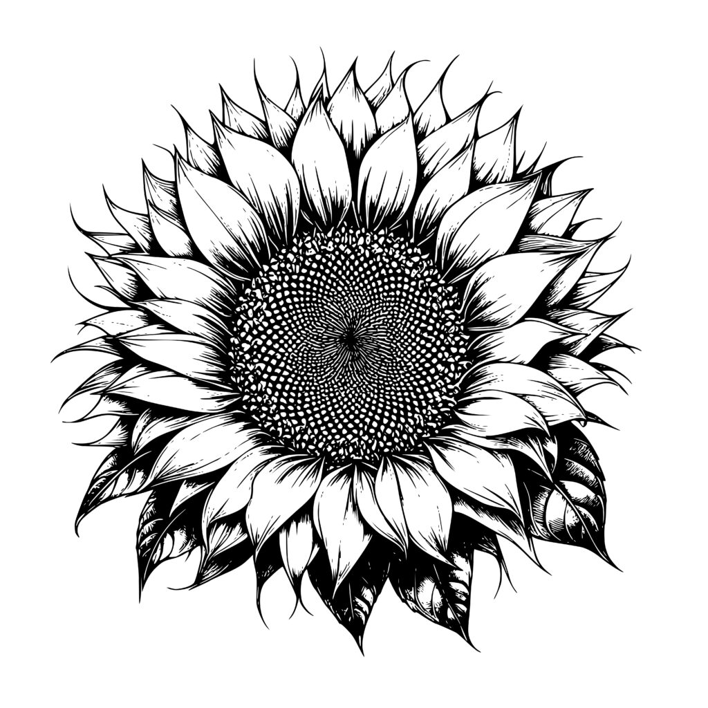 Realistic Sunflower – Creative Meadow