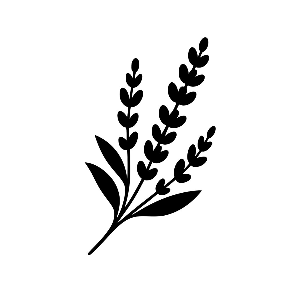 Lavender Sprig Design – Creative Meadow