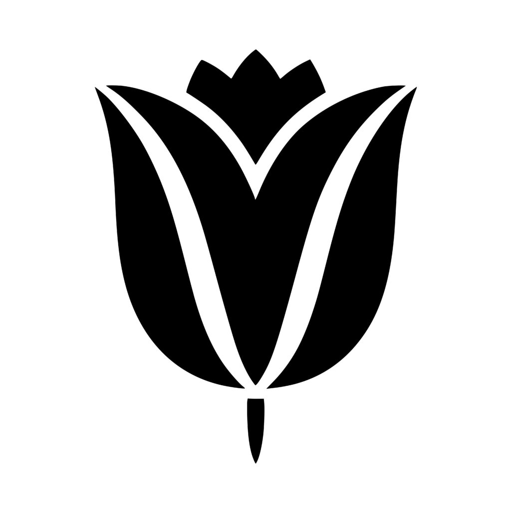 Tulip Symphony – Creative Meadow