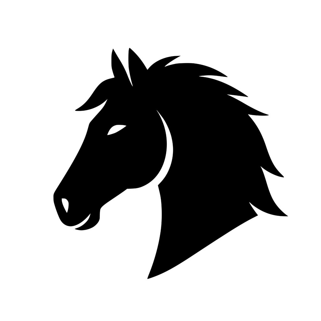 Noble Equine Profile – Creative Meadow