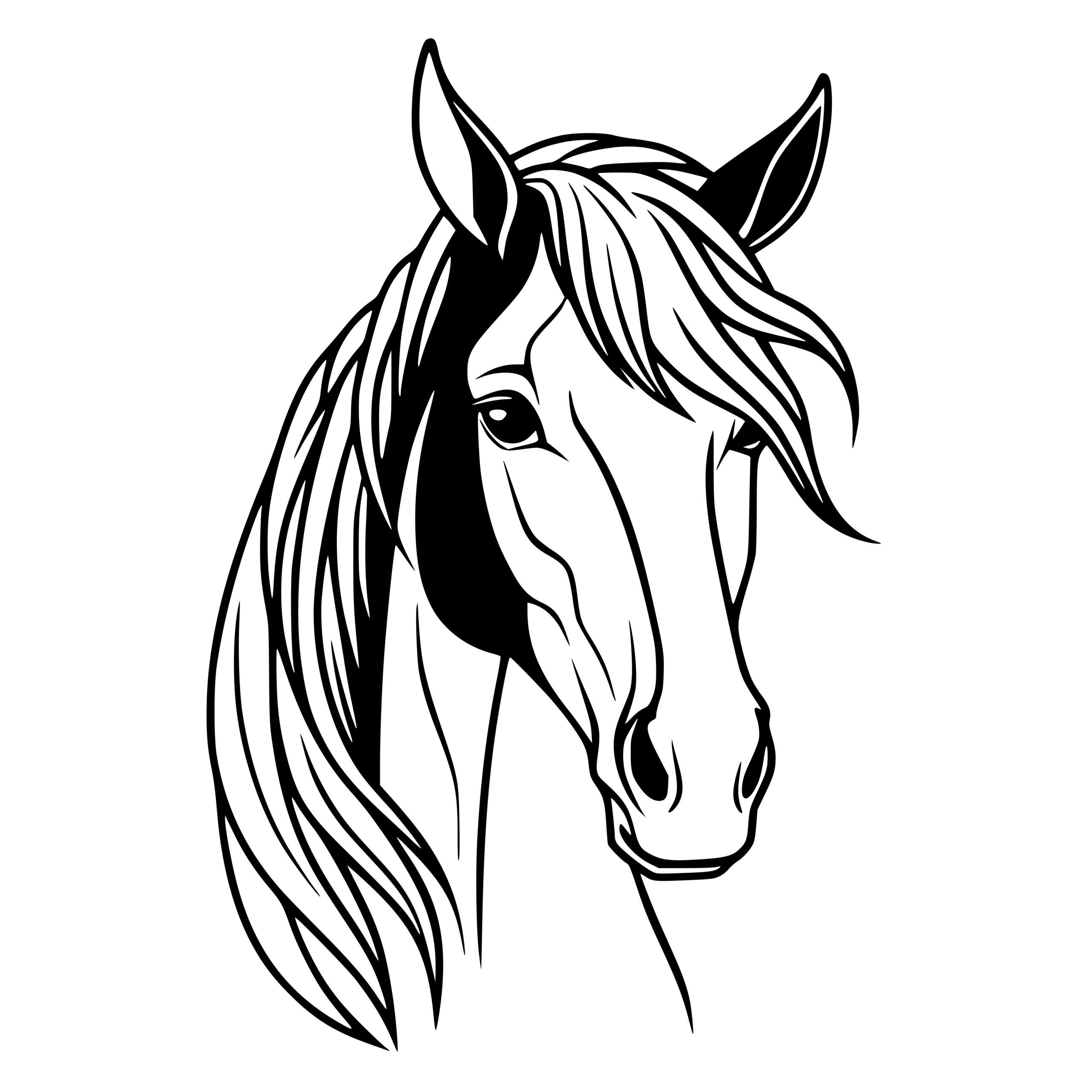 Alert Horse Gaze – Creative Meadow