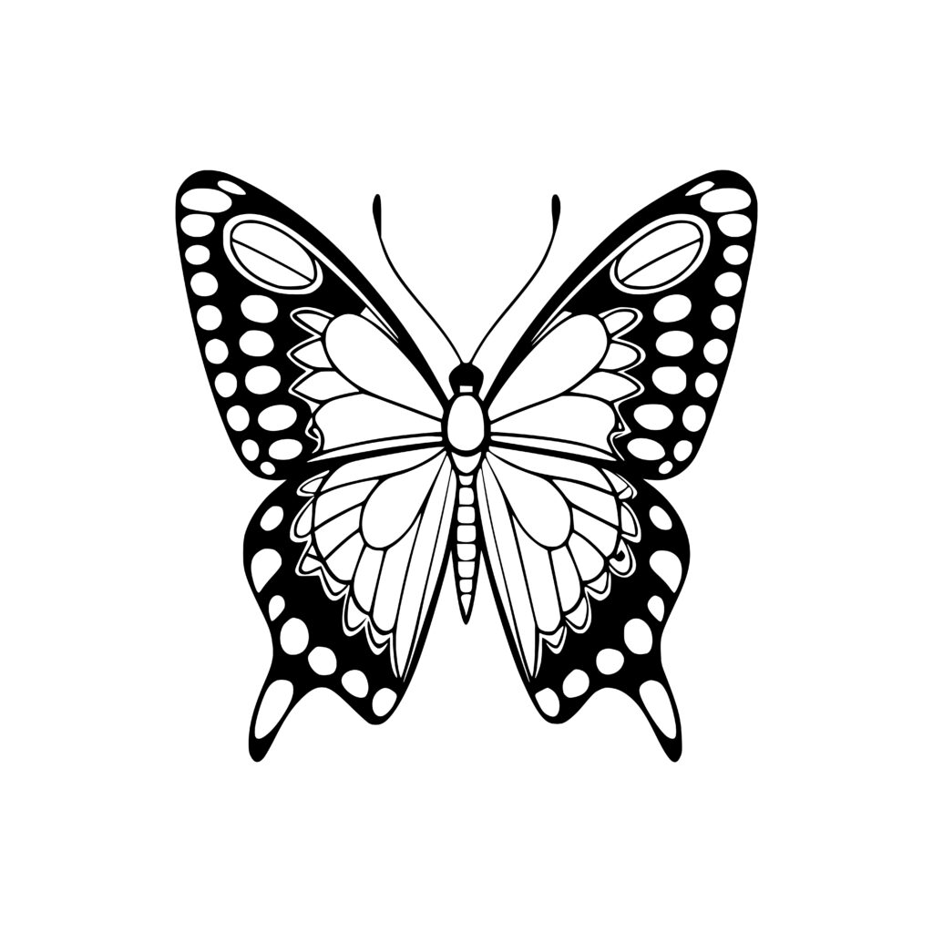 Circular Winged Butterfly – Creative Meadow